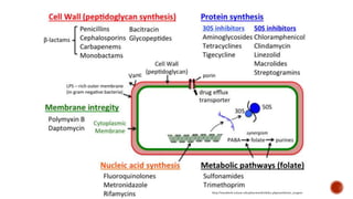 Antibiotics | PPT