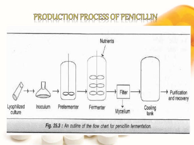 industrial production of antibiotics