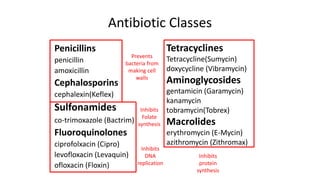 Antibiotics | PPTX