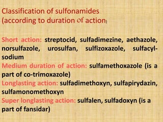 Antibiotics | PPTX