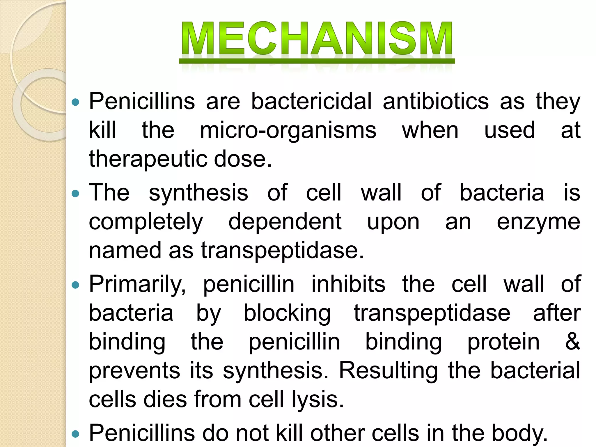 Antibiotics | PPT