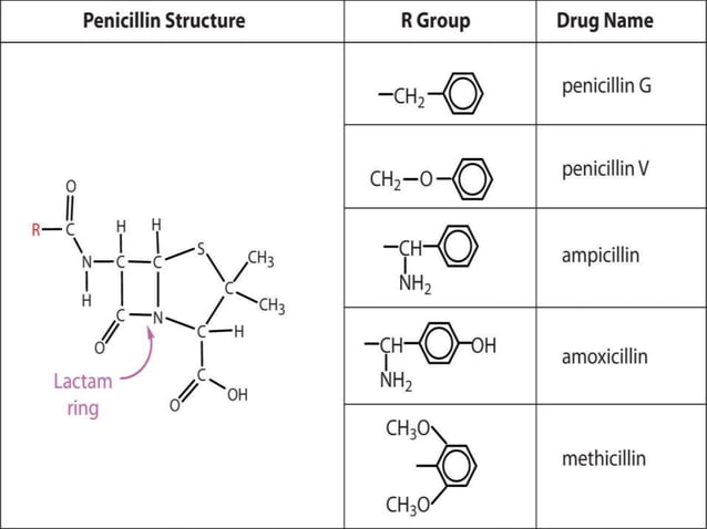 Antibiotics | PPT