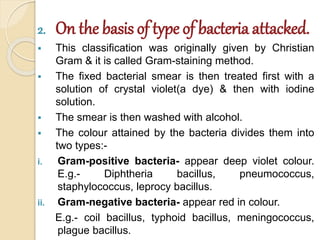 Antibiotics | PPTX