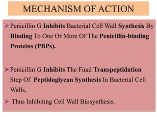 Antibiotics | PPT