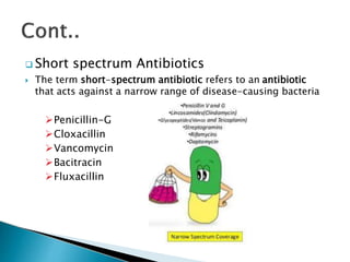 Antibiotics | PPTX