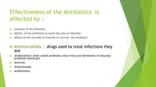 Antibiotics | PPTX