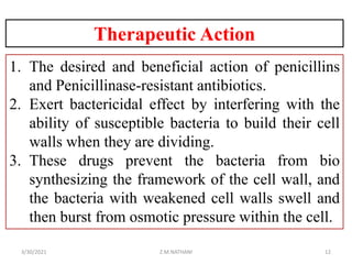 Antibiotics (Penicillin) | PPTX