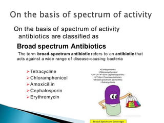 Antibiotics | PPT