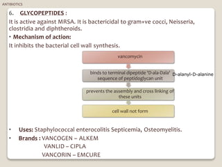antibiotics.pptx