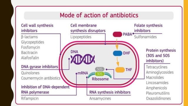 ANTIBIOTICS.pptx