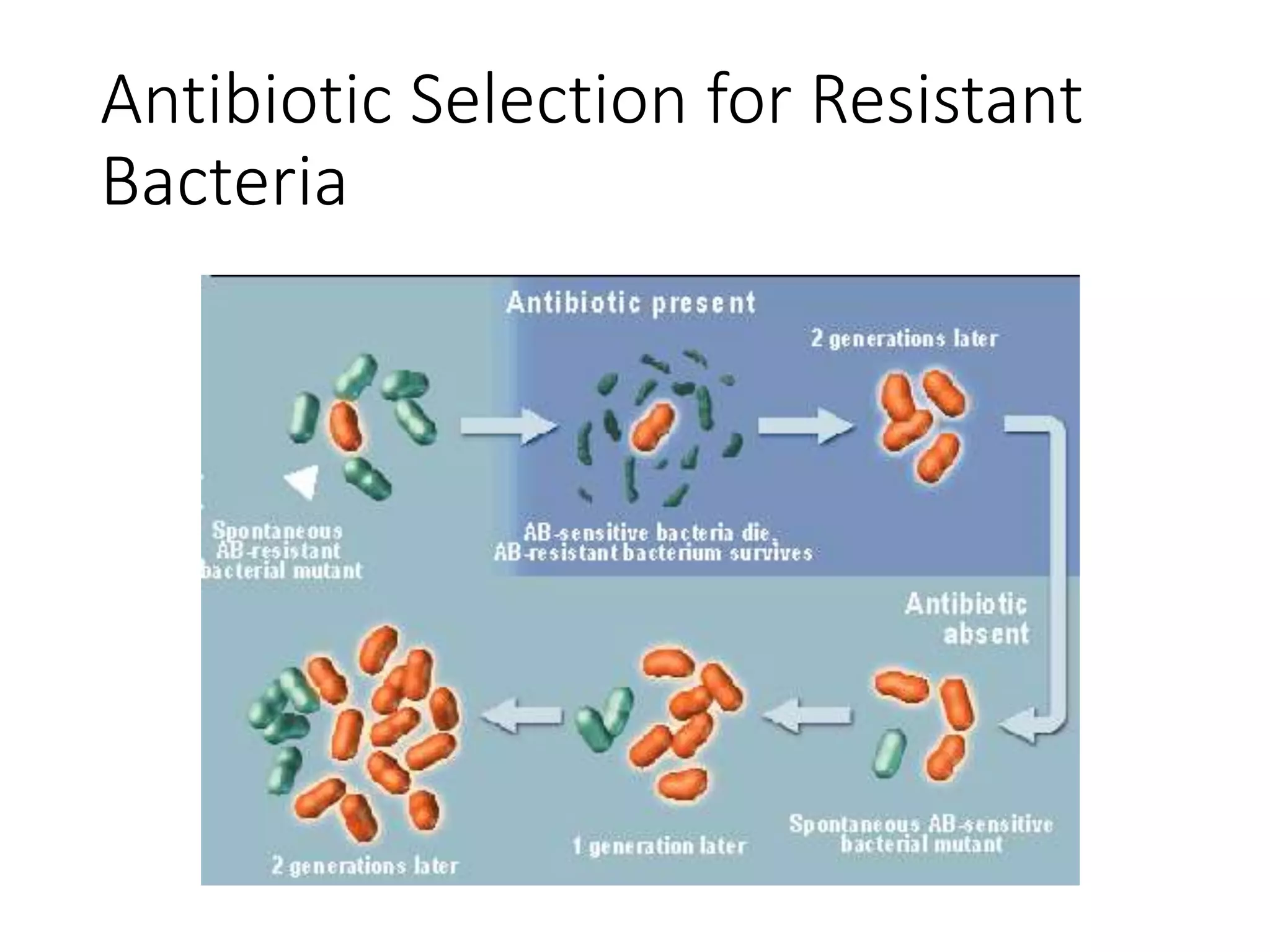 antibiotics.ppt