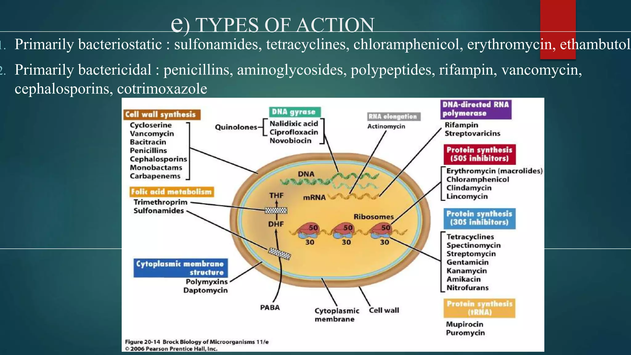 antibiotics.ppt
