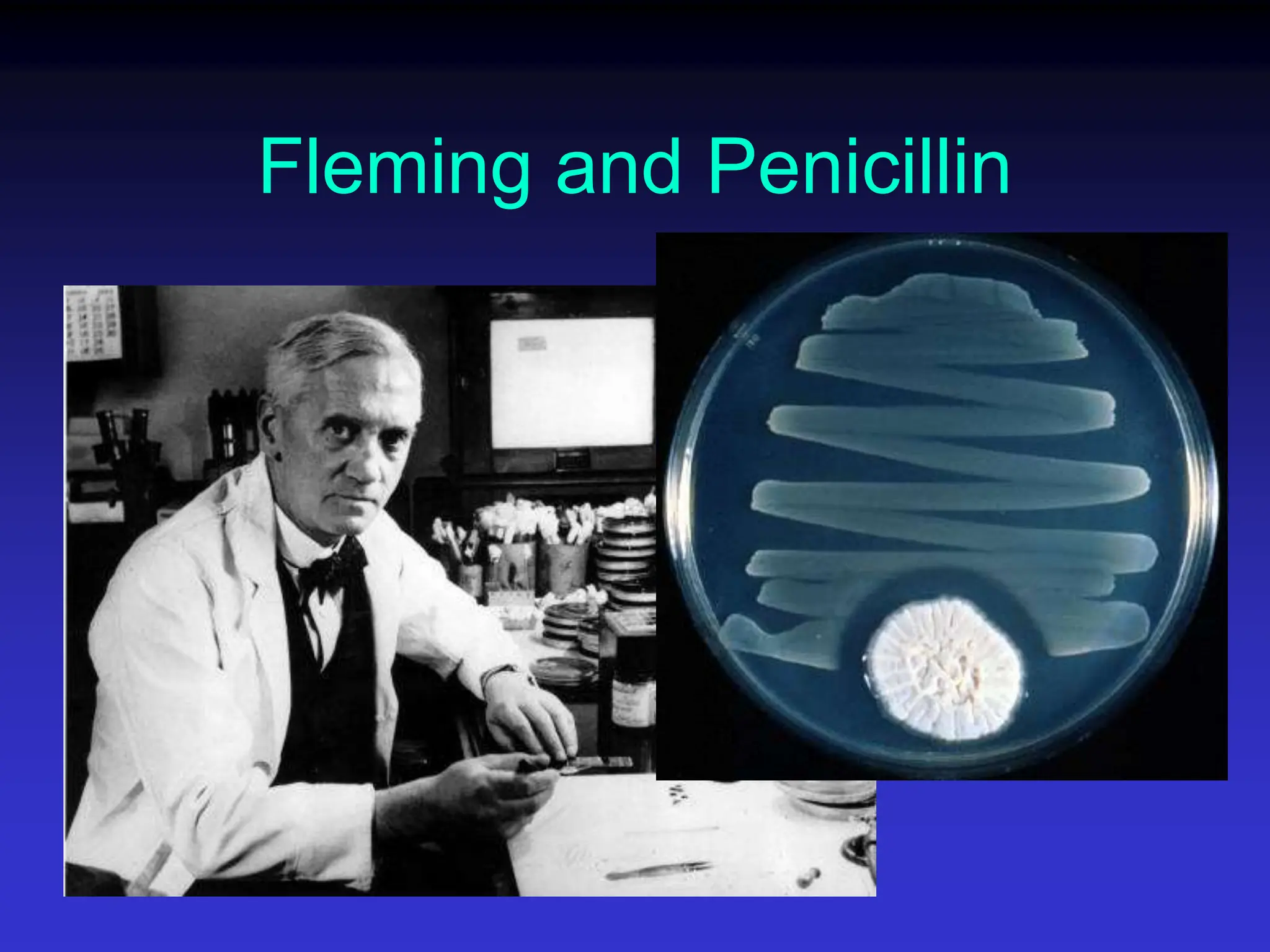 Antibiotics dose and precautions take.ppt