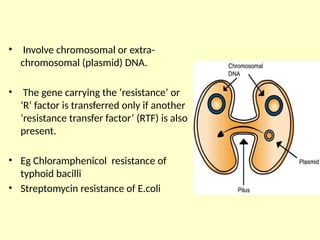 ANTIBIOTICS and their mech of action.pptx