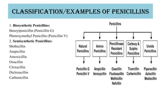 Antibiotics: B lactam Antibiotics. MC III UNT 1 PPT | PPT