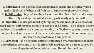 Bacteriophage, bacteria type , disease caused by bacteria and ...