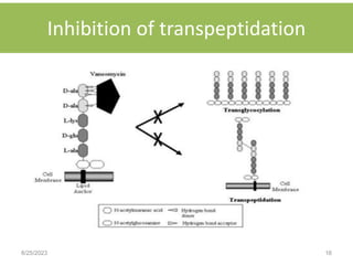 Antibiotics-and-spectrum-of-action.pptx