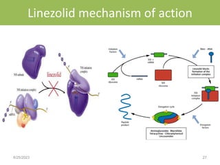 Antibiotics-and-spectrum-of-action.pptx