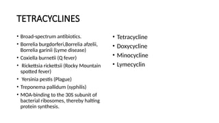 ANTIBIOTICS-ANTIINFLAMMATORY & IMMUNOMODULATORY EFFECTS.pptx