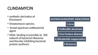 ANTIBIOTICS-ANTIINFLAMMATORY & IMMUNOMODULATORY EFFECTS.pptx
