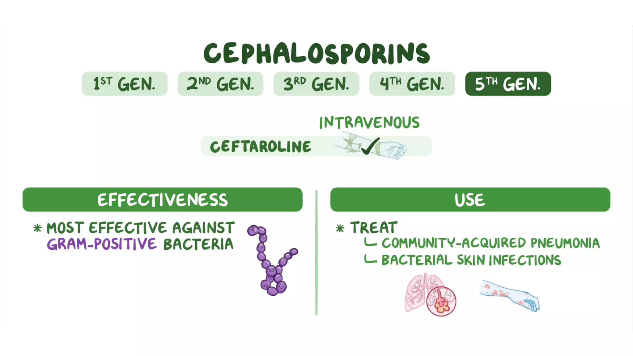 Antibiotics Cephalosporins Ppt