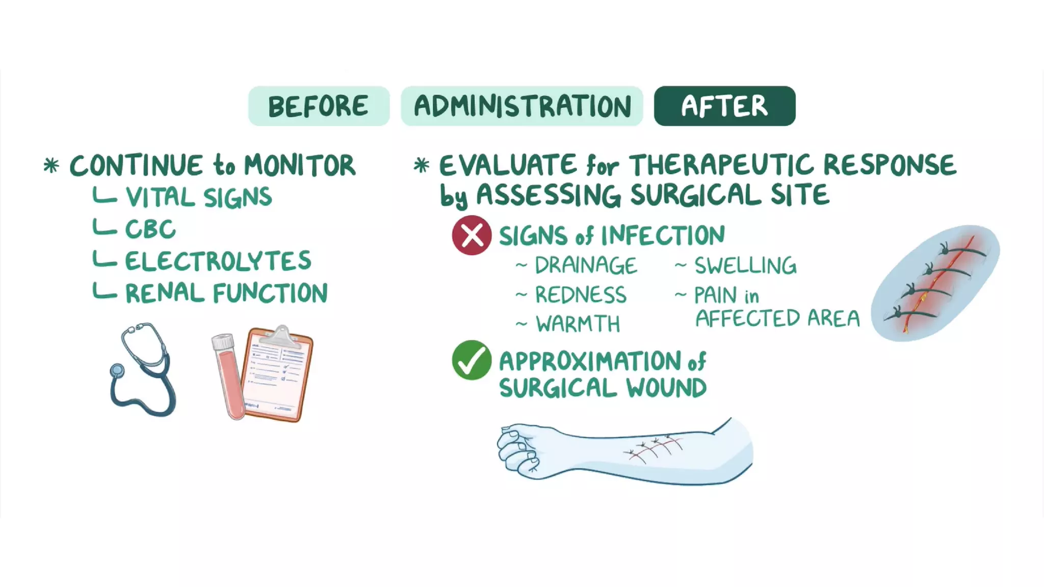 Antibiotics Cephalosporins Ppt