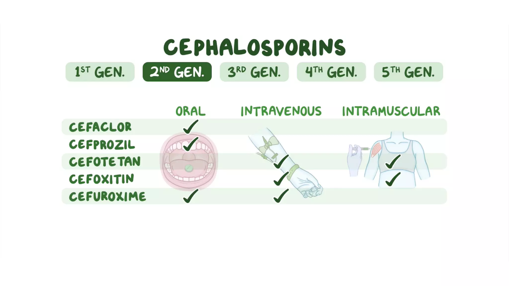 Antibiotics Cephalosporins Ppt