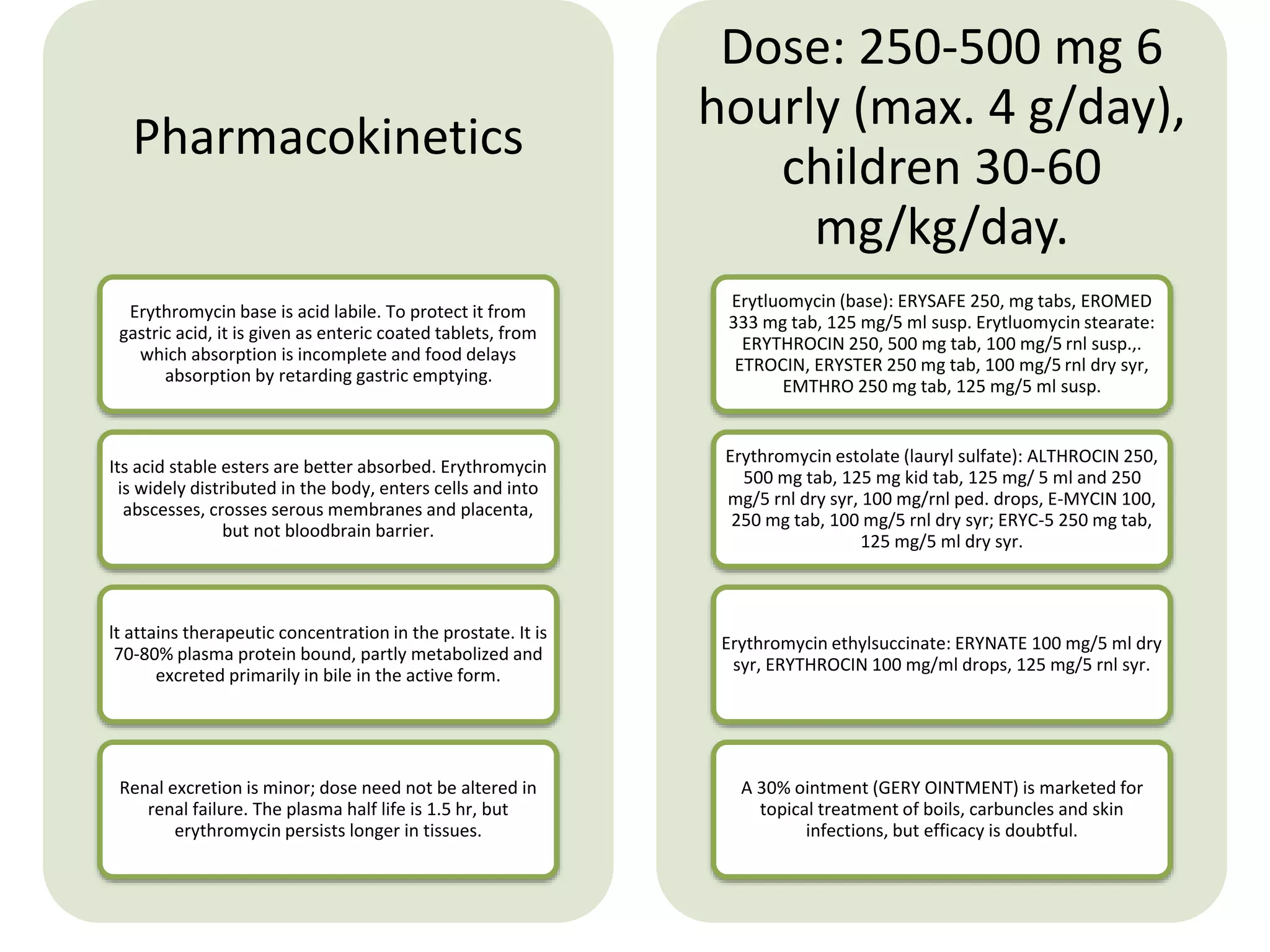 Antibiotics chloramphenicol and macrolides | PPTX