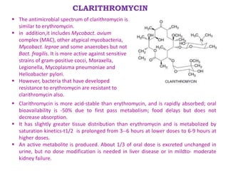 Antibiotics chloramphenicol and macrolides | PPTX