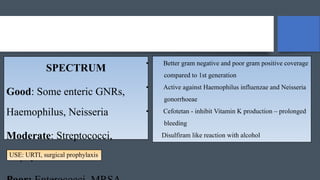 Antibiotics commonly used in dermatology | PDF