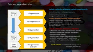 Antibiotics dr alsalheen alraied | PPTX