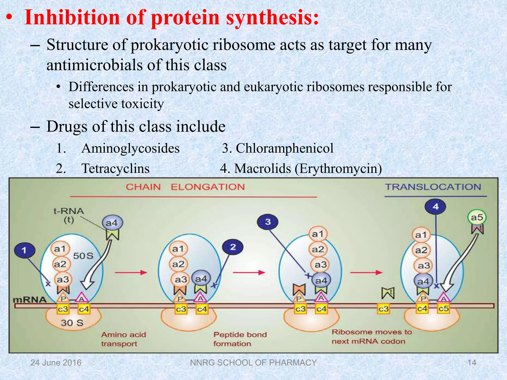 Antibiotics | PPTX