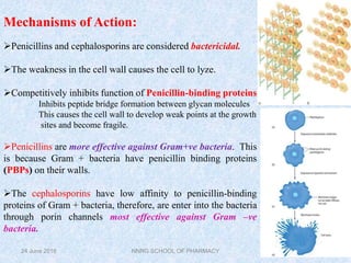 Antibiotics | PPTX