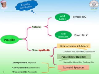 Antibiotics: Penicillin | PPT