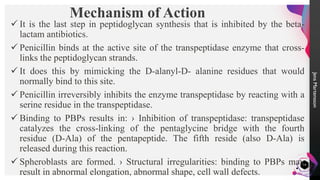 ANTIBIOTICS- PENICILLIN.pdf Chapter 1 Medicinal Chemistry- III Semester ...