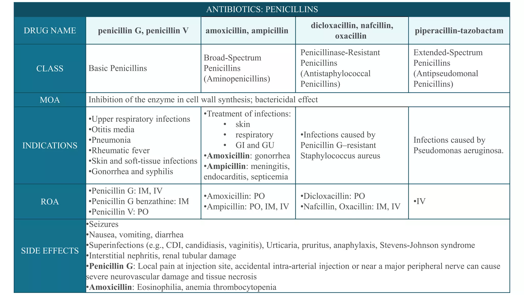Antibiotics - Penicillins | PPT