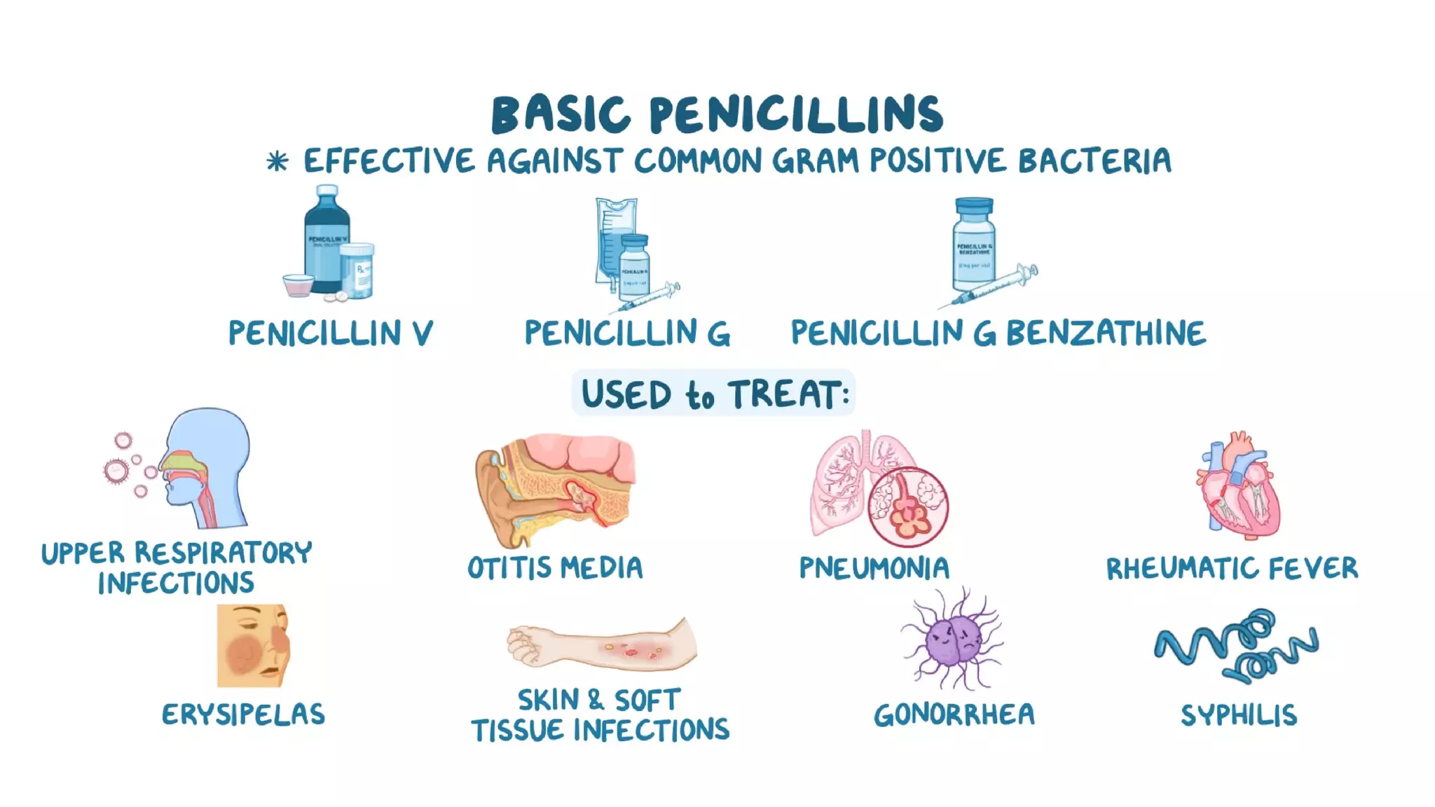 Antibiotics - Penicillins | PPT