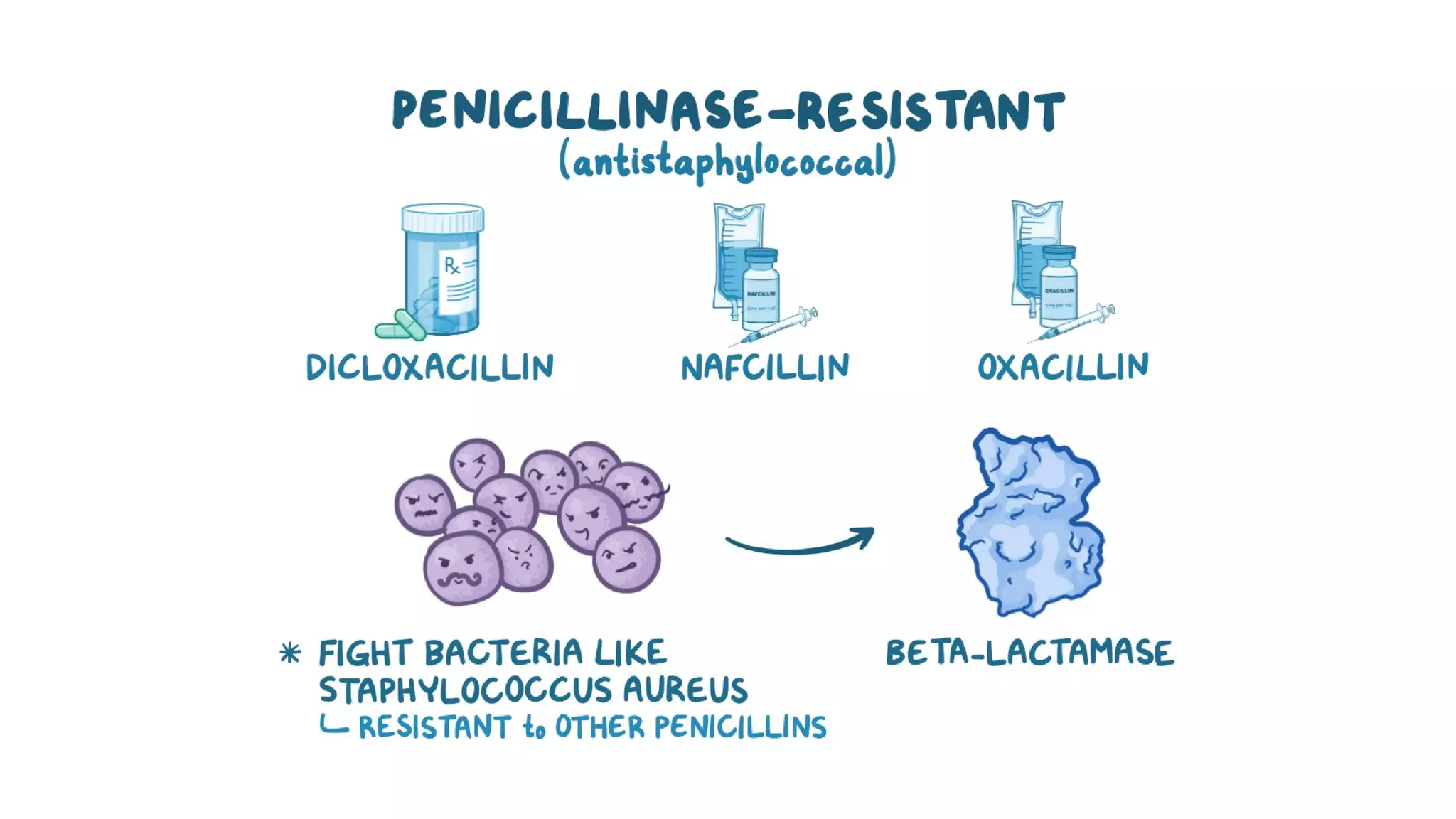 Antibiotics - Penicillins | PPT