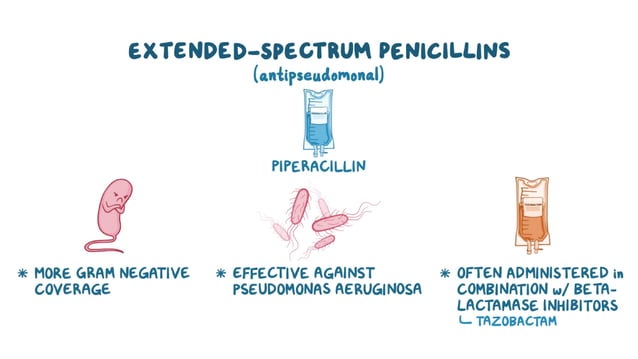 Antibiotics - Penicillins | PPT