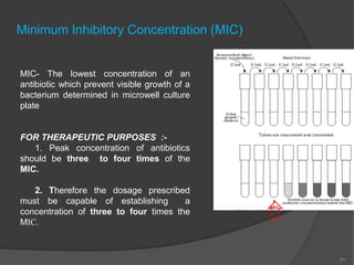 penicillin in dentistry (ANTIBIOTICS) - by shefali jain | PPTX