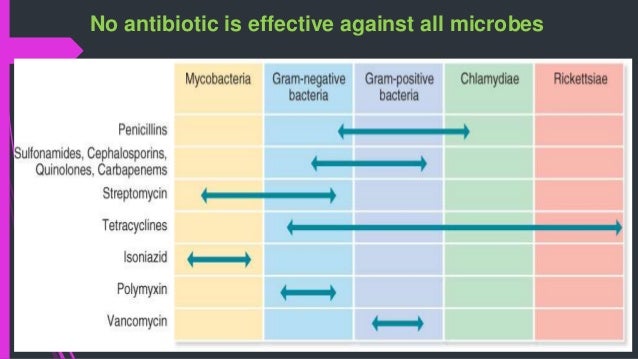 Antibiotics1