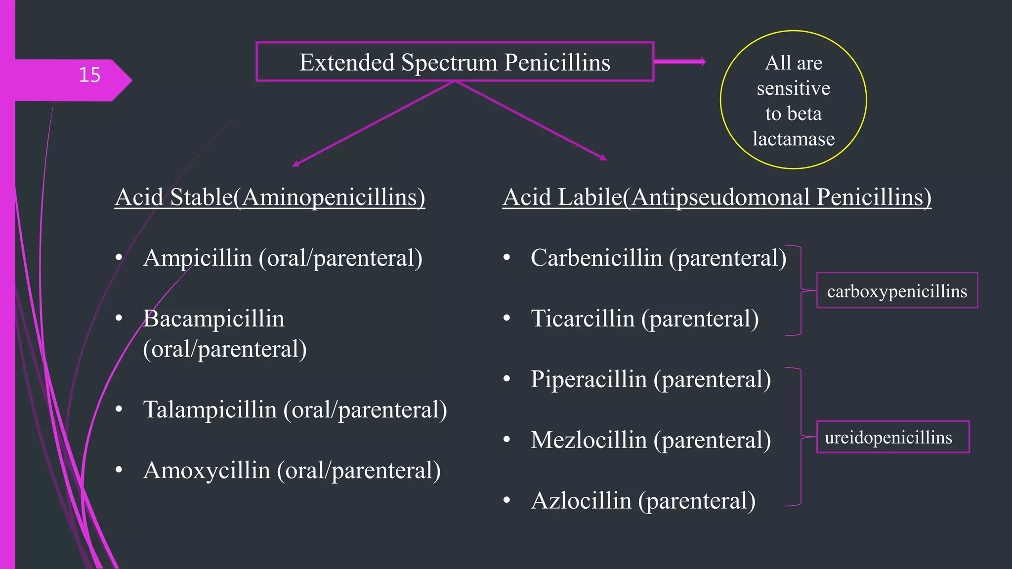 beta lactam antibiotics | PPTX