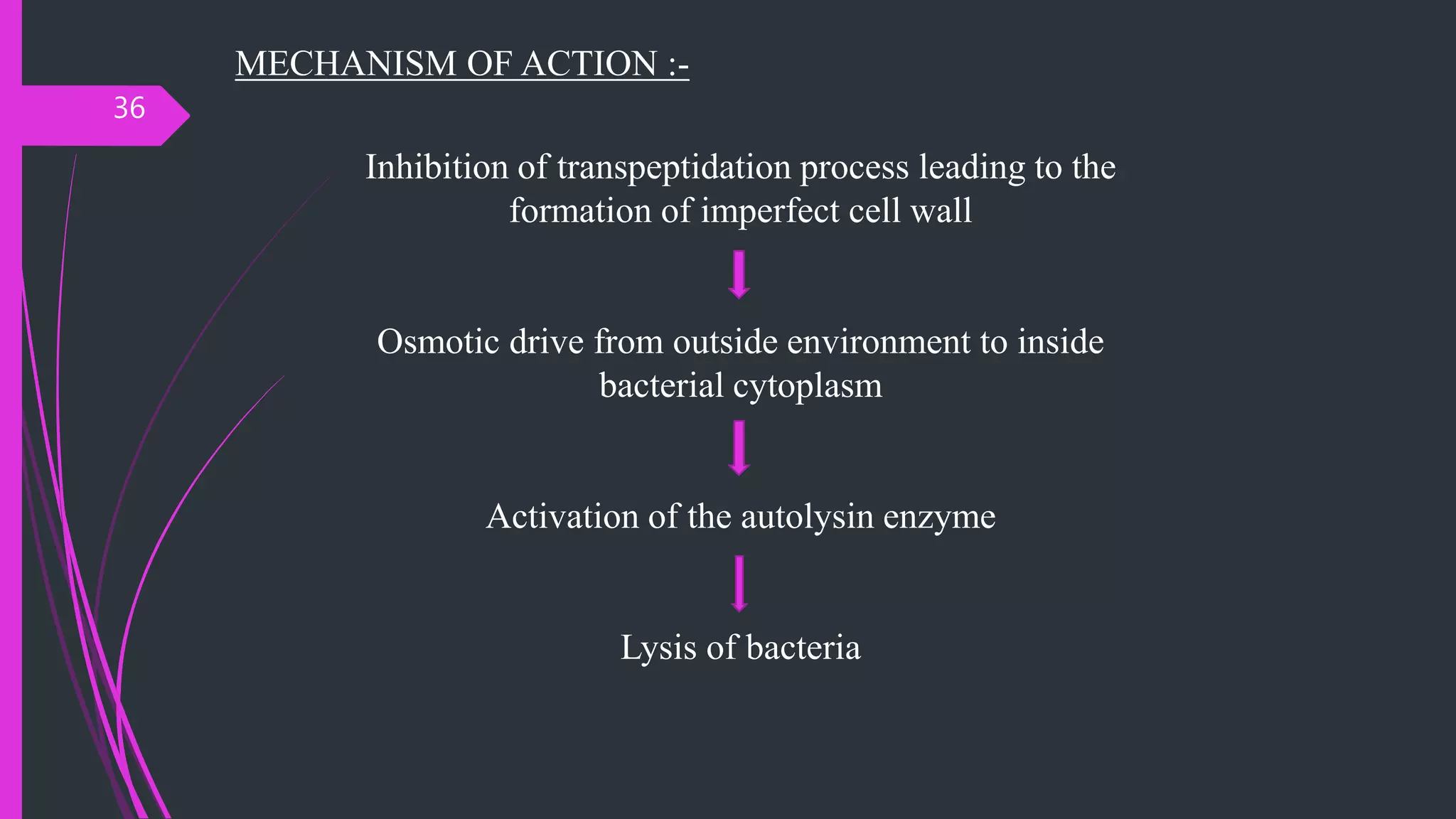 beta lactam antibiotics | PPTX