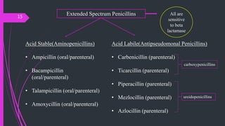 beta lactam antibiotics | PPTX