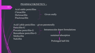 beta lactam antibiotics | PPTX