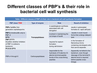 Beta lactam Antibiotics .ppt