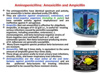 Can You Give Fish Mox To Dogs