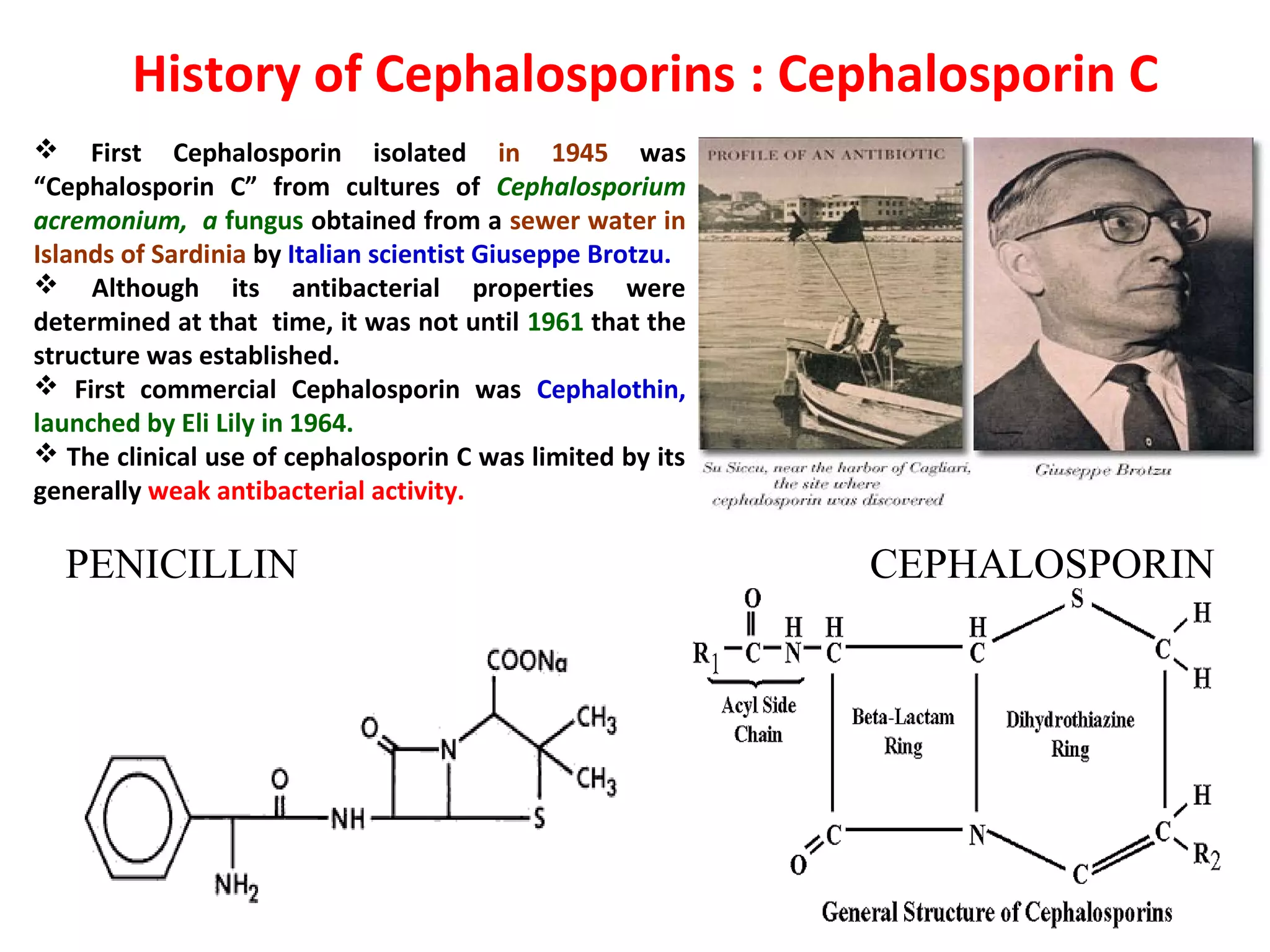 Antibiotics acting on cell wall 2 cephalosporins 03-05-2018 | PPT
