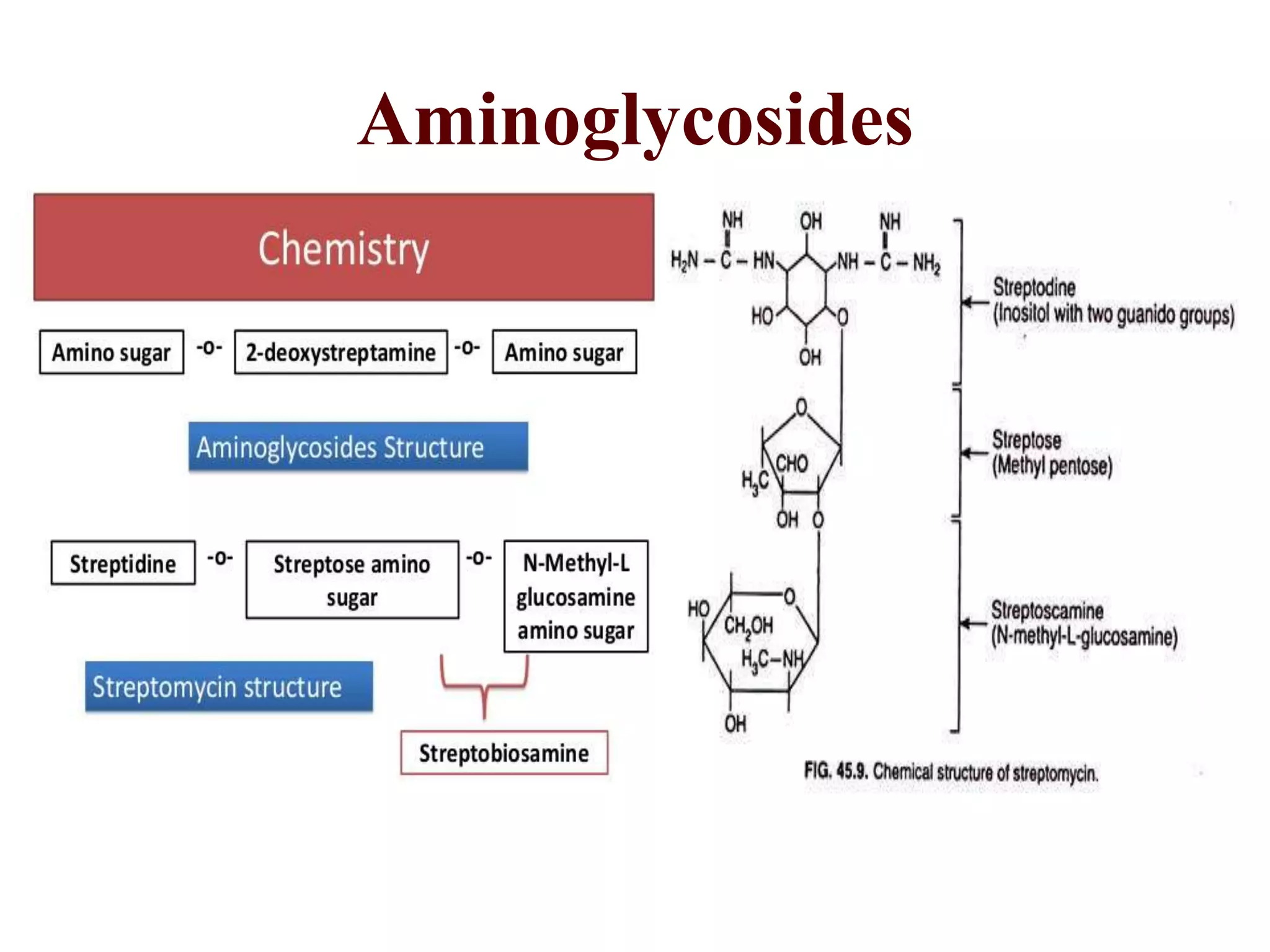 Antibiotics aminoglycoside and tetracycline | PPTX