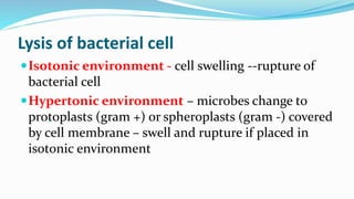 Antibiotics and its mechanism of action | PPTX